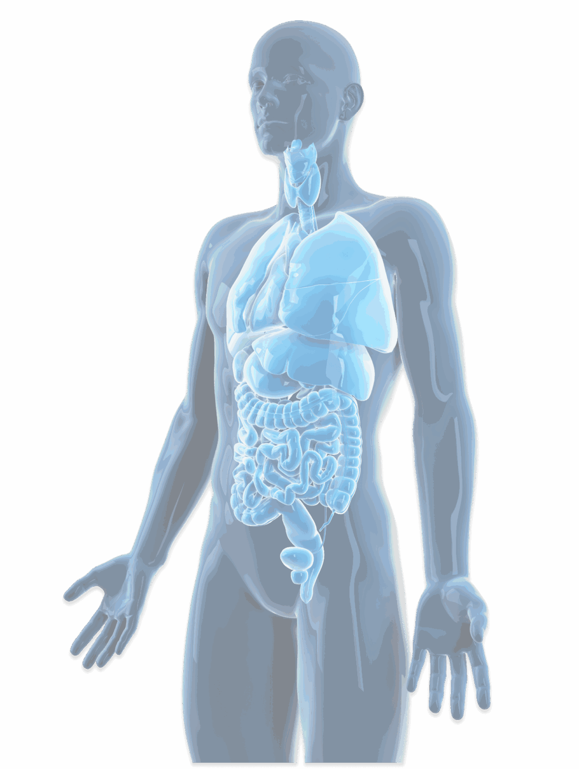 Targeted LNP Delivery: Precision Genetic Medicine